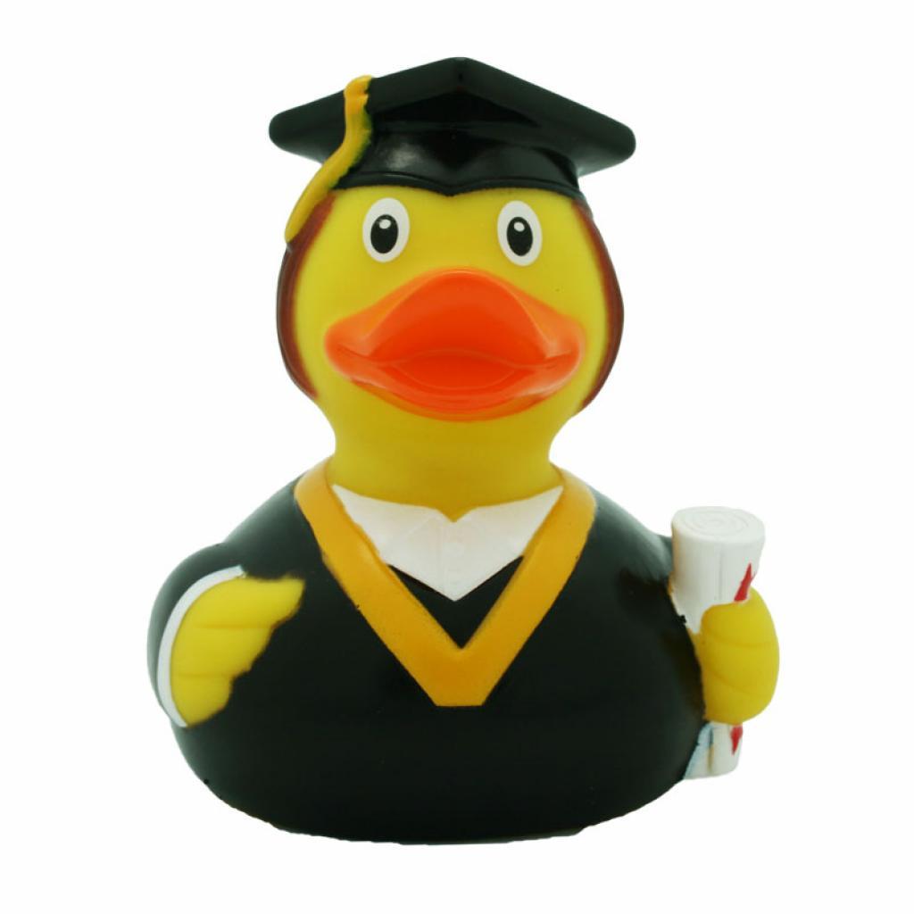 Doing PhD Research While Staying in Place | The Duck of Minerva