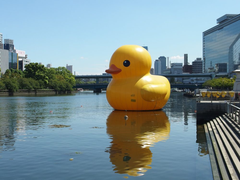 Podcasts and Space Hamsters and Shoulder Dragons, oh my! | The Duck of ...