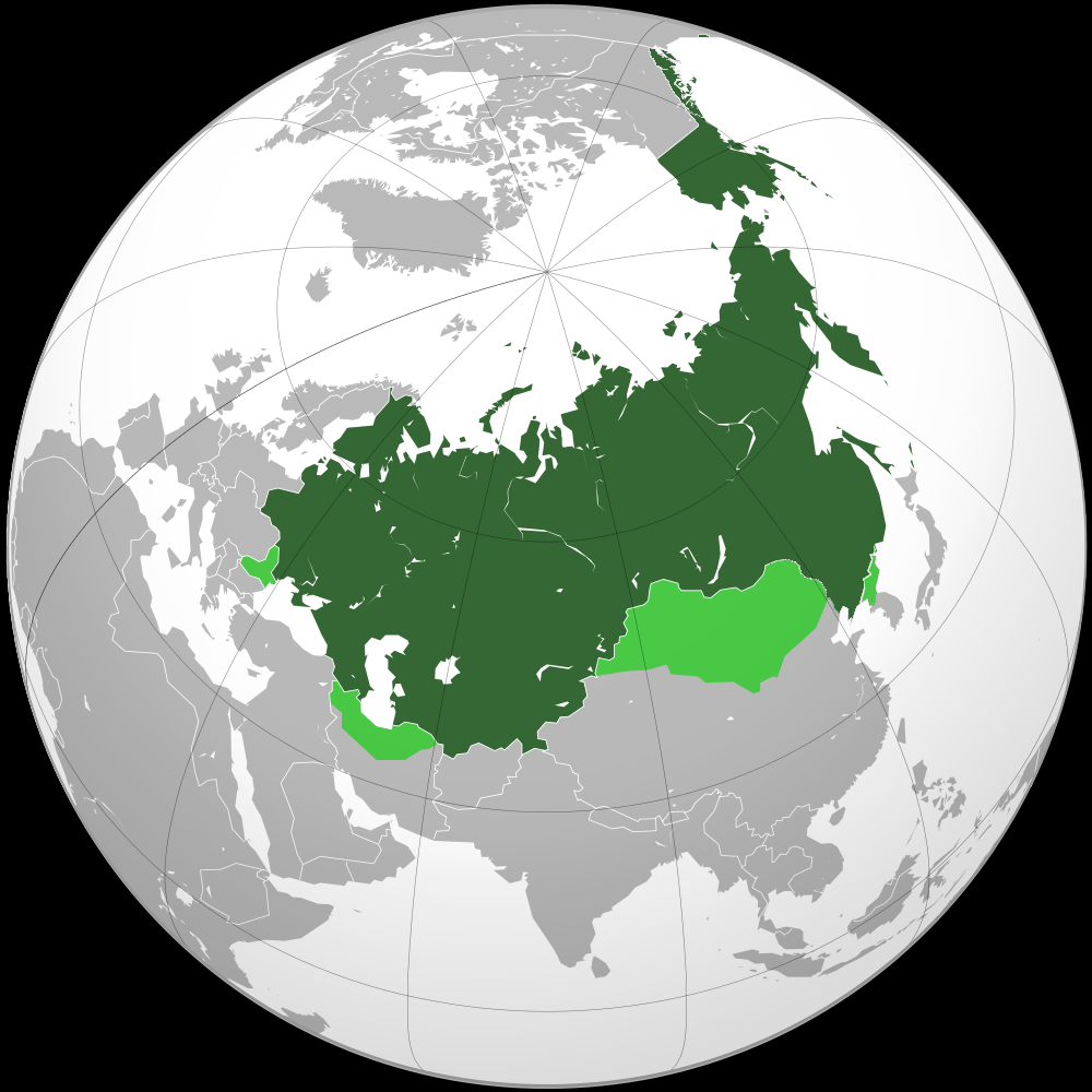 Russian Irredentism: Killing Kin To Save the Kin? | The Duck of Minerva