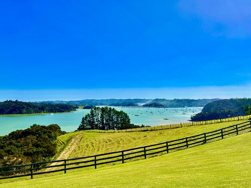 To the Grand Peace Strategist | The Duck of Minerva